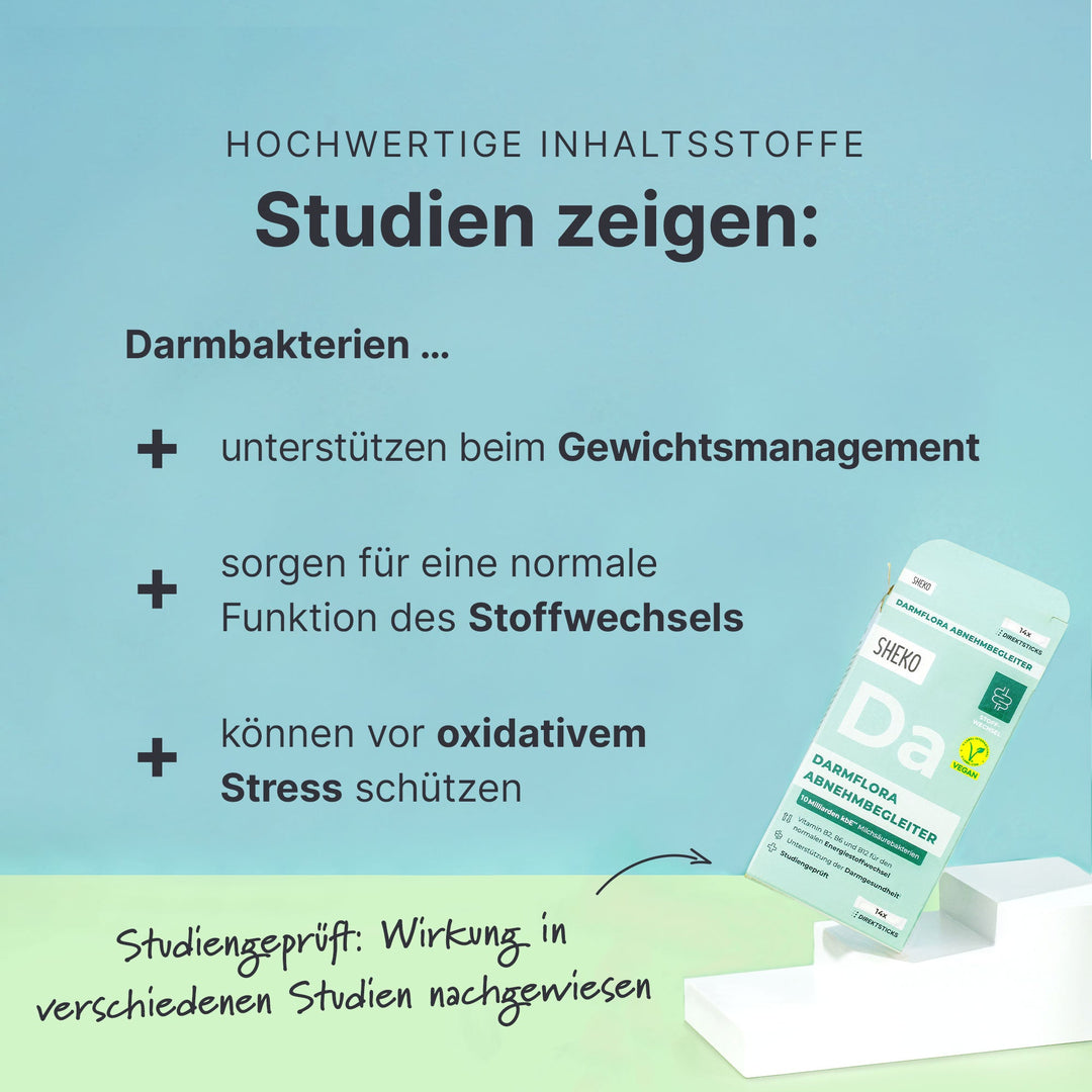 Sheko Shakes – Abnehmen mit Genuss, Eiweiß und Style – bester-kauf.ch